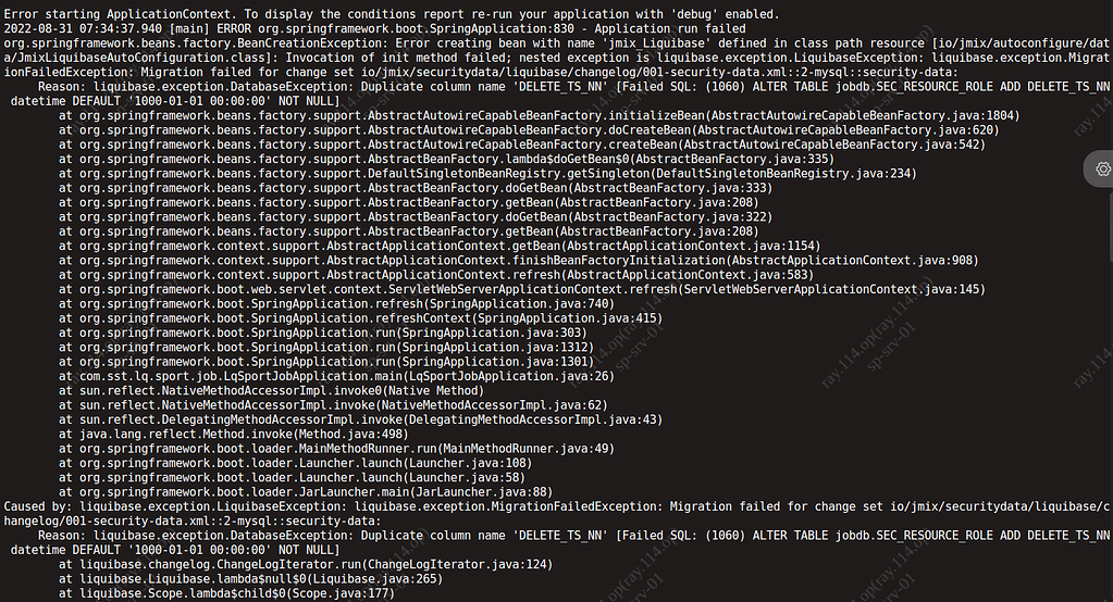 Duplicate Column Name DELETE TS NN Support Jmix