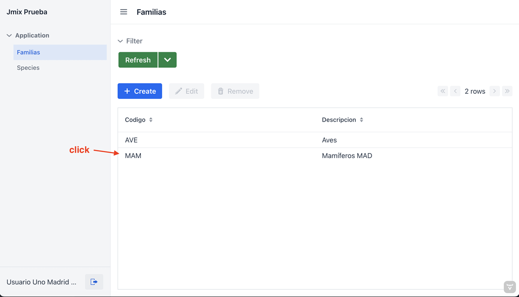 Instance and Collection in the same screen - Support - Jmix